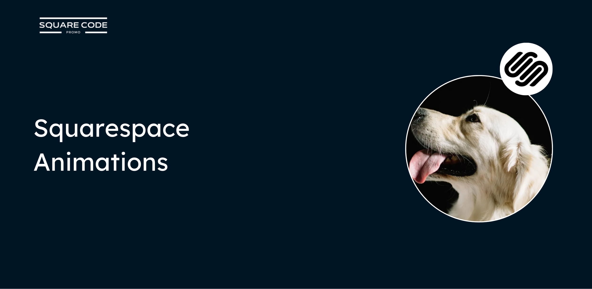 17+ Stunning Squarespace Animations For Your Website